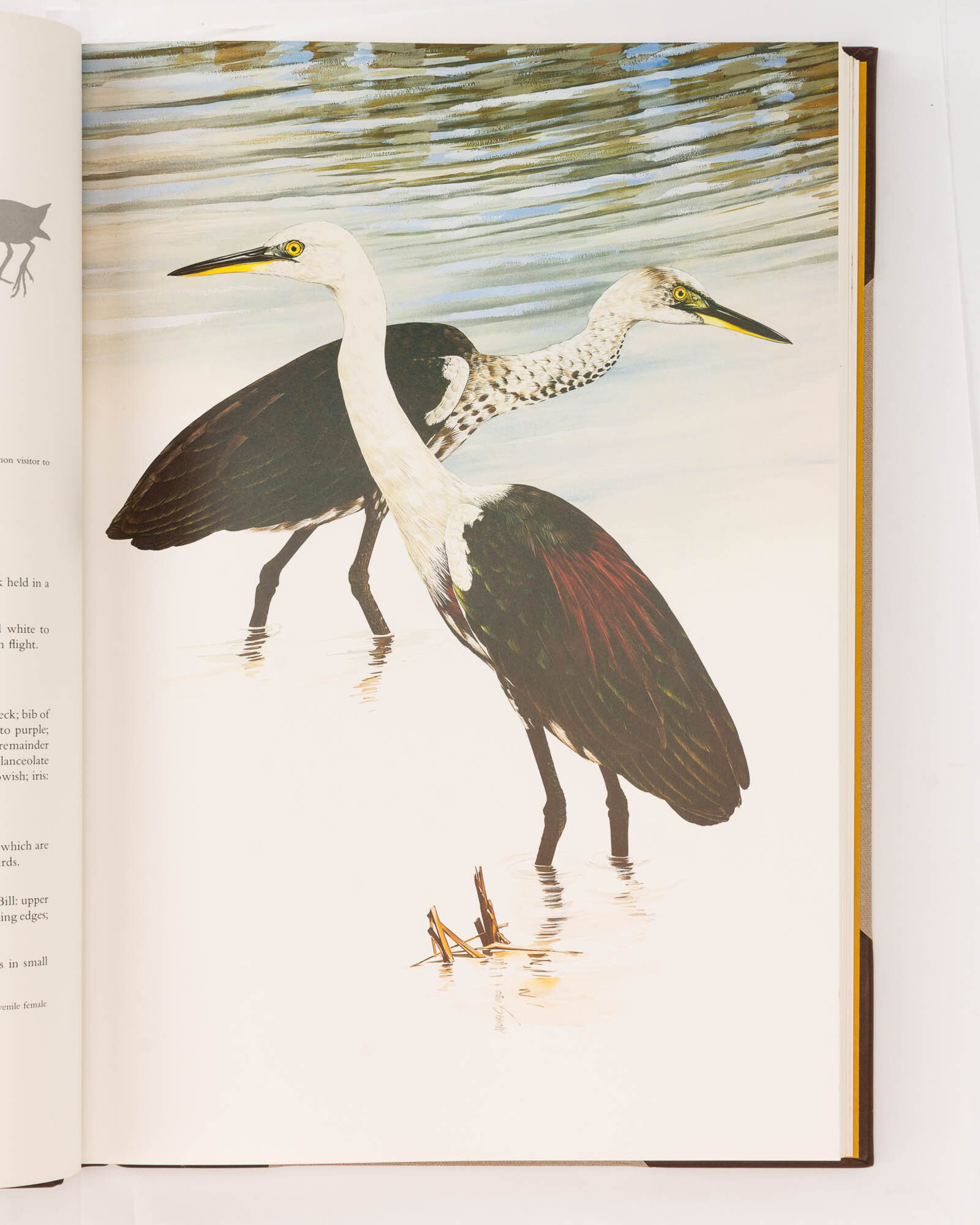 Seven limited edition volumes on Australian birds by Frank Morris. The ...