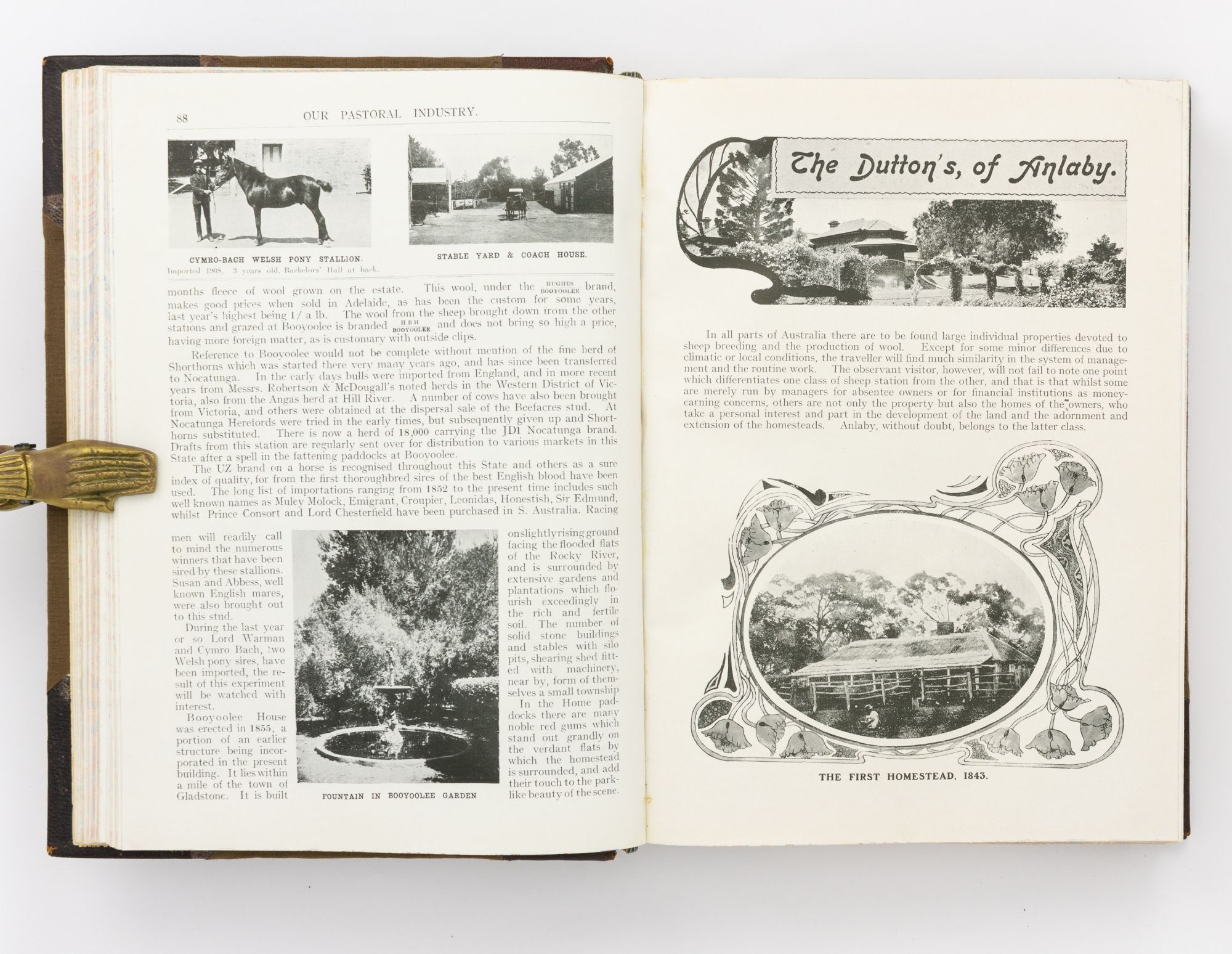 Our Pastoral Industry | South Australia | First Edition